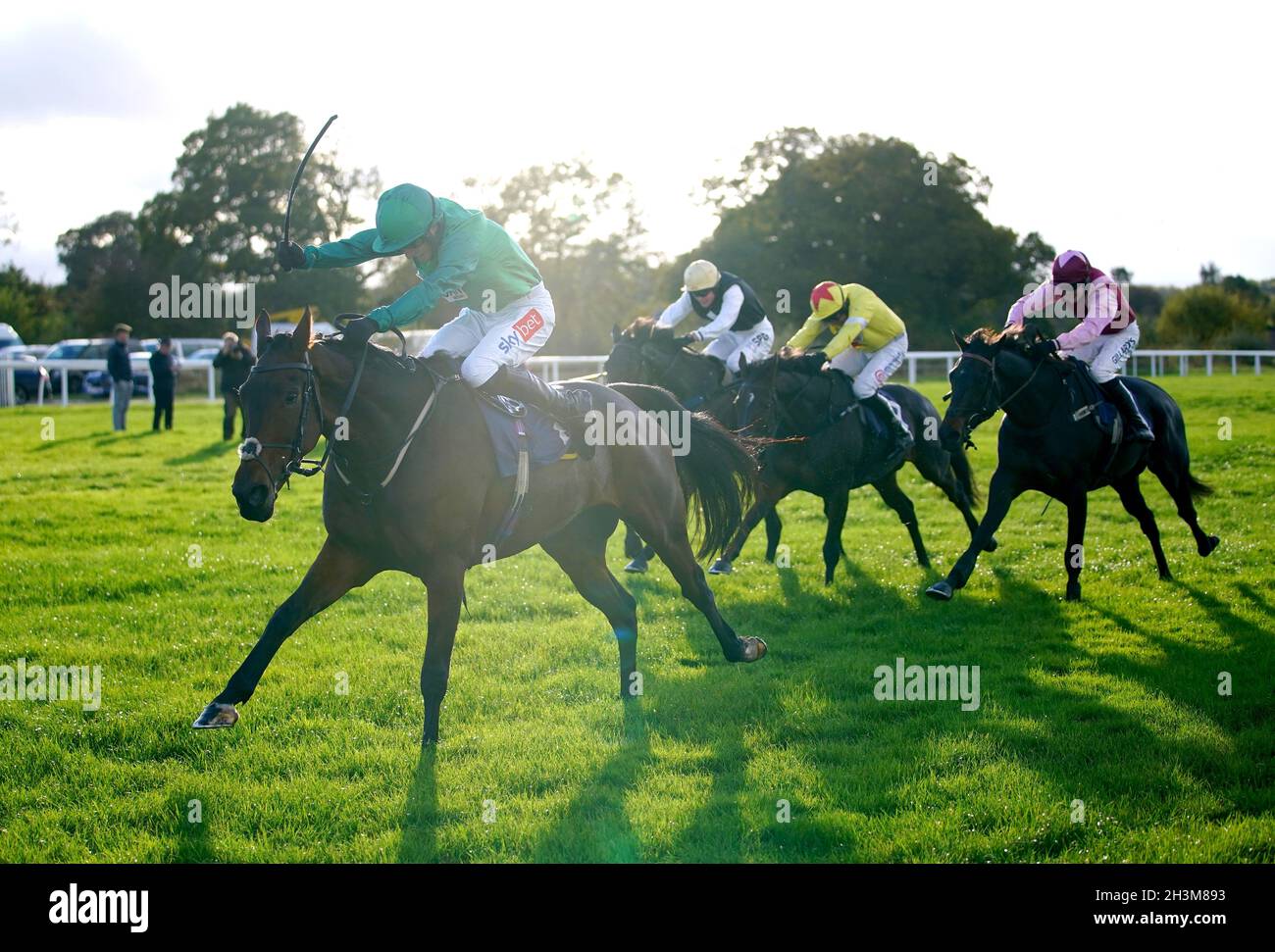 Good boy bobby horse hi-res stock photography and images - Alamy