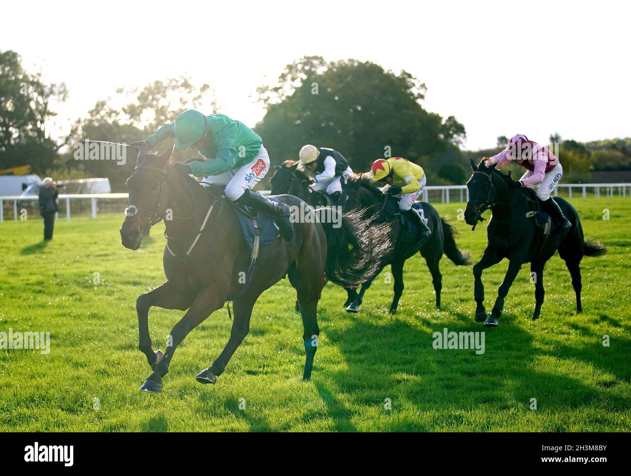 Good boy bobby horse hi-res stock photography and images - Alamy
