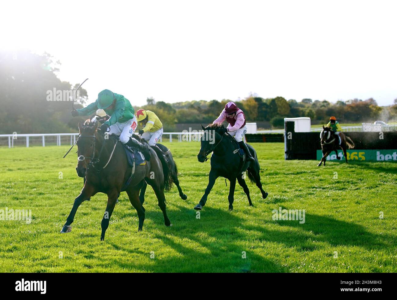 Good boy bobby horse hi-res stock photography and images - Alamy