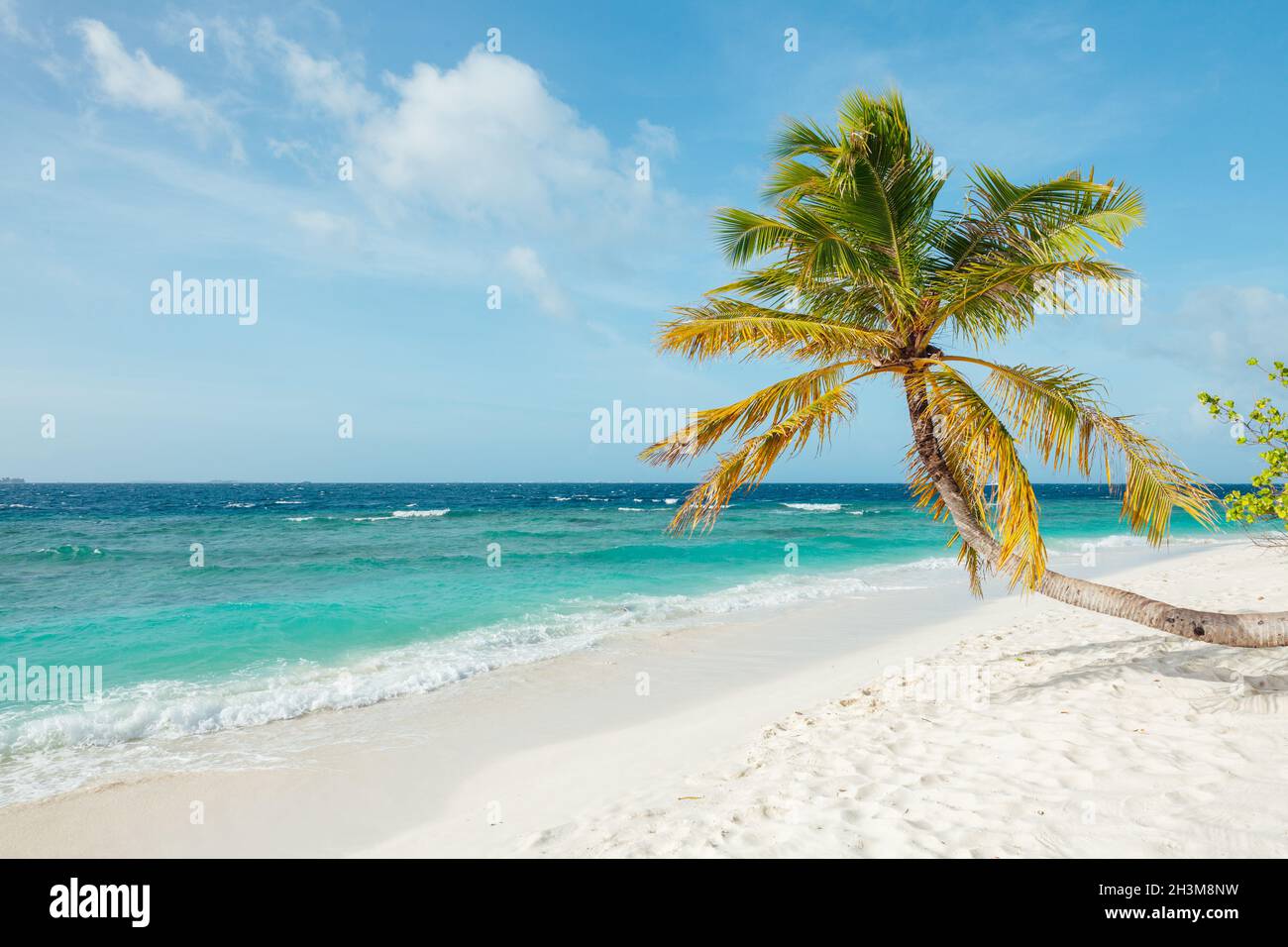 Idyllic beach scene in Maldives, North Male Atoll Stock Photo - Alamy