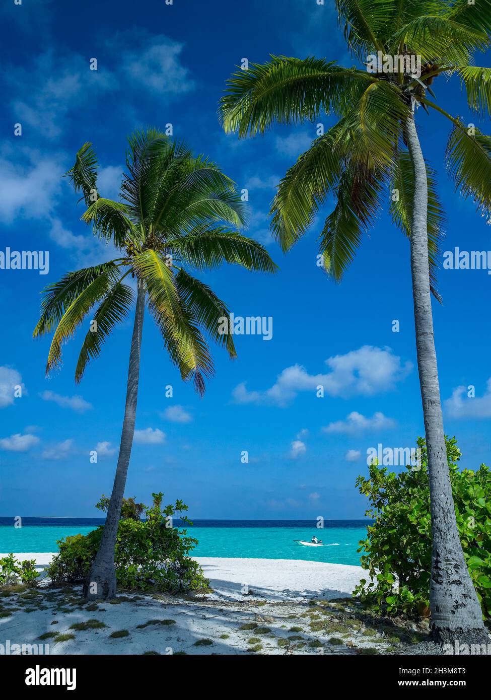 Luxury vacation in South Ari Atoll in the Maldives, Indian Ocean Stock ...