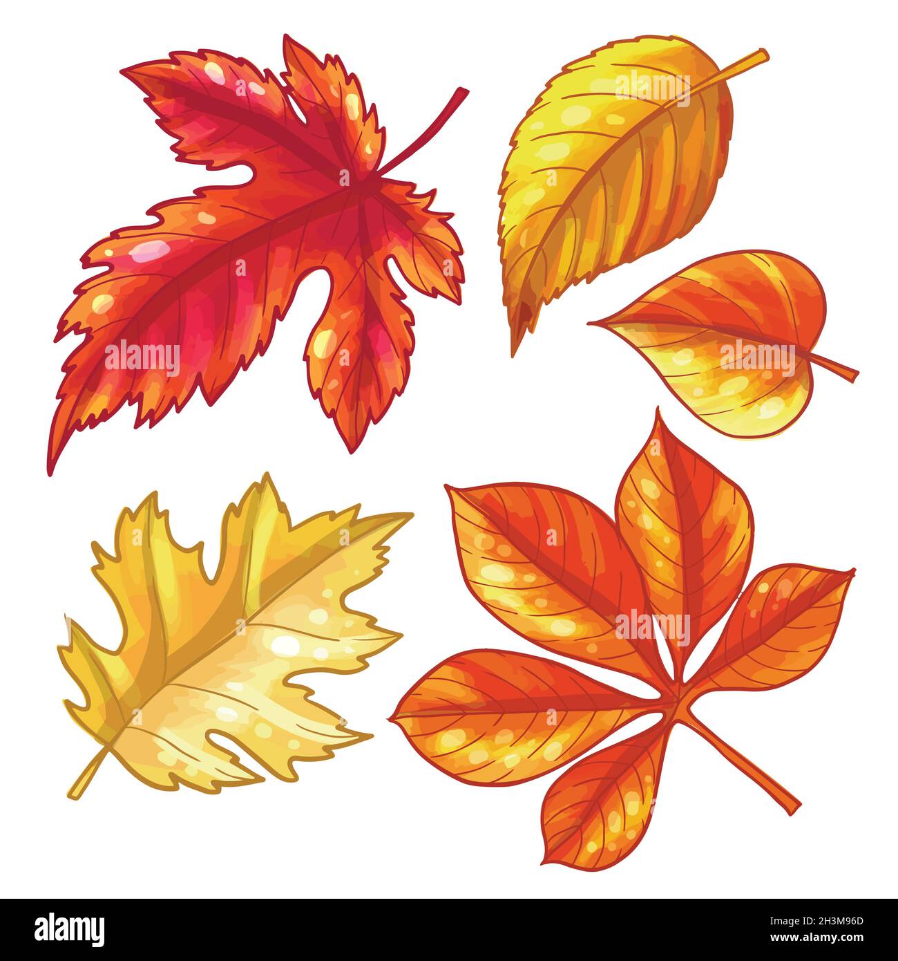 collection hand drawn autumn leaves vector design illustration Stock ...