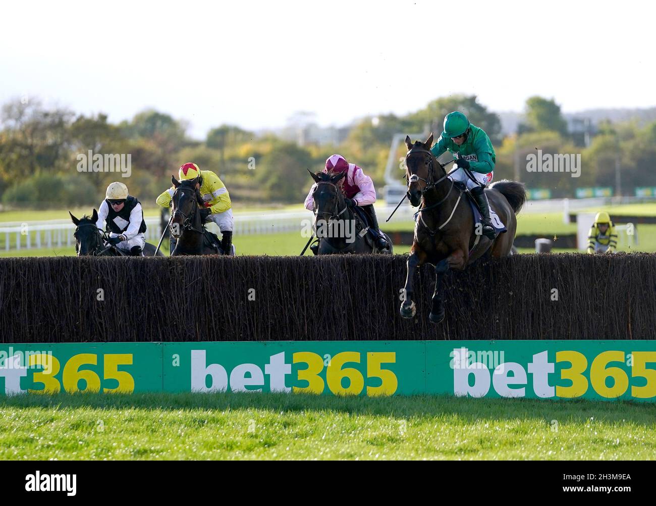 Good boy bobby horse hi-res stock photography and images - Alamy