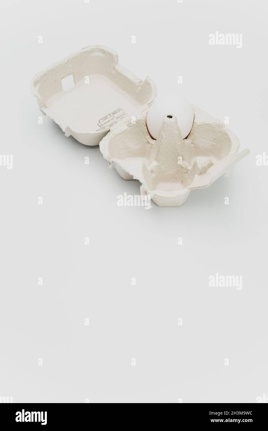 recycled cardboard egg box with one egg on a white background Stock ...