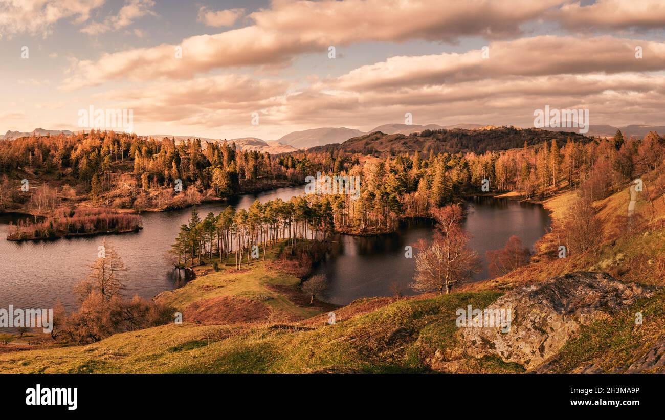 Landscape photo at Tarn Hows from the top of the rock taken at sunset ...