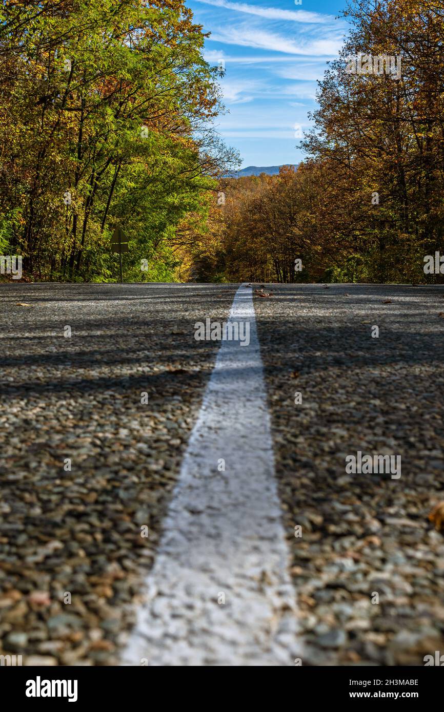 White solid line markings on an asphalt country road. Along the edges ...