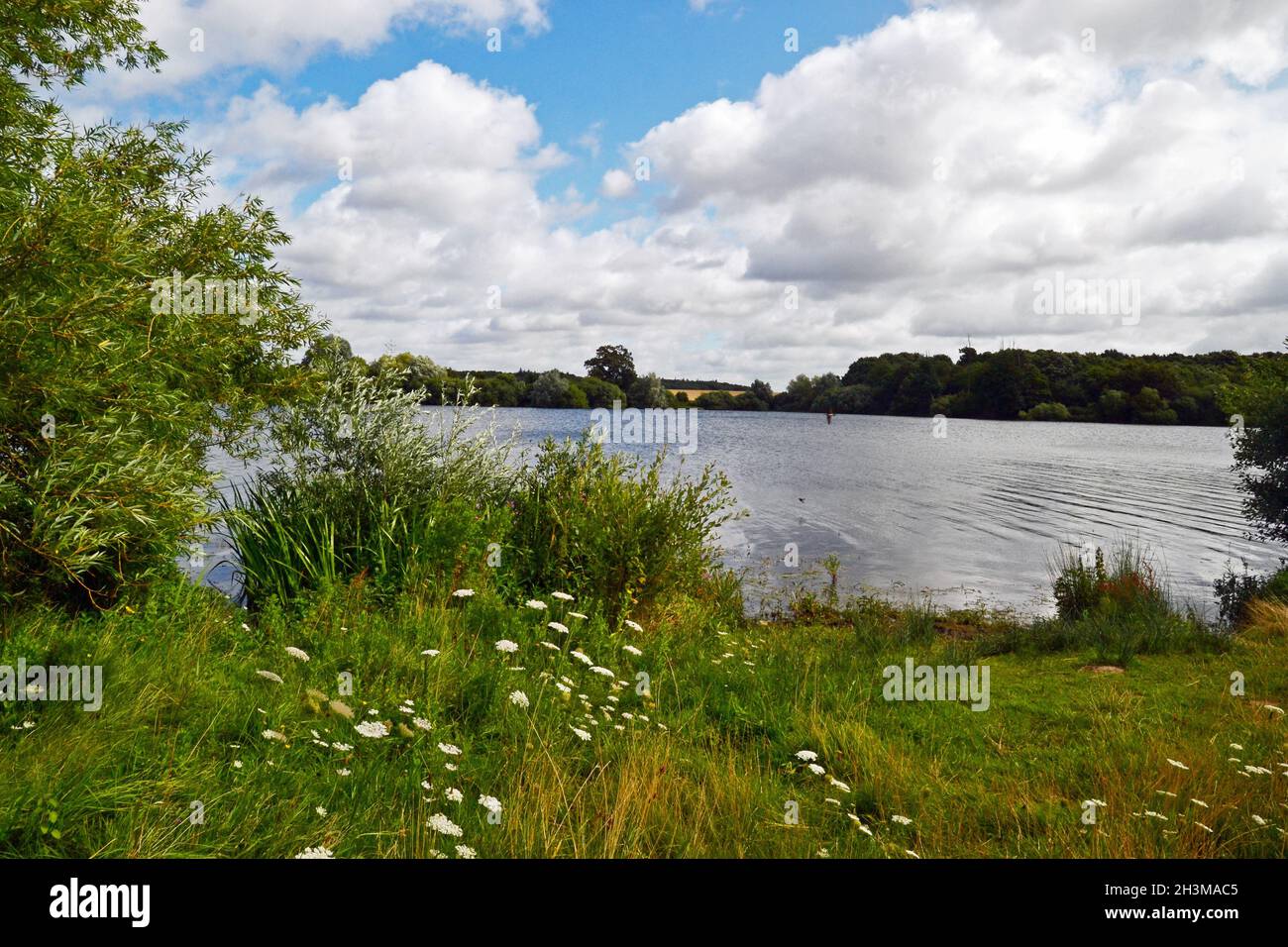 Alton Water, Suffolk, UK Stock Photo - Alamy