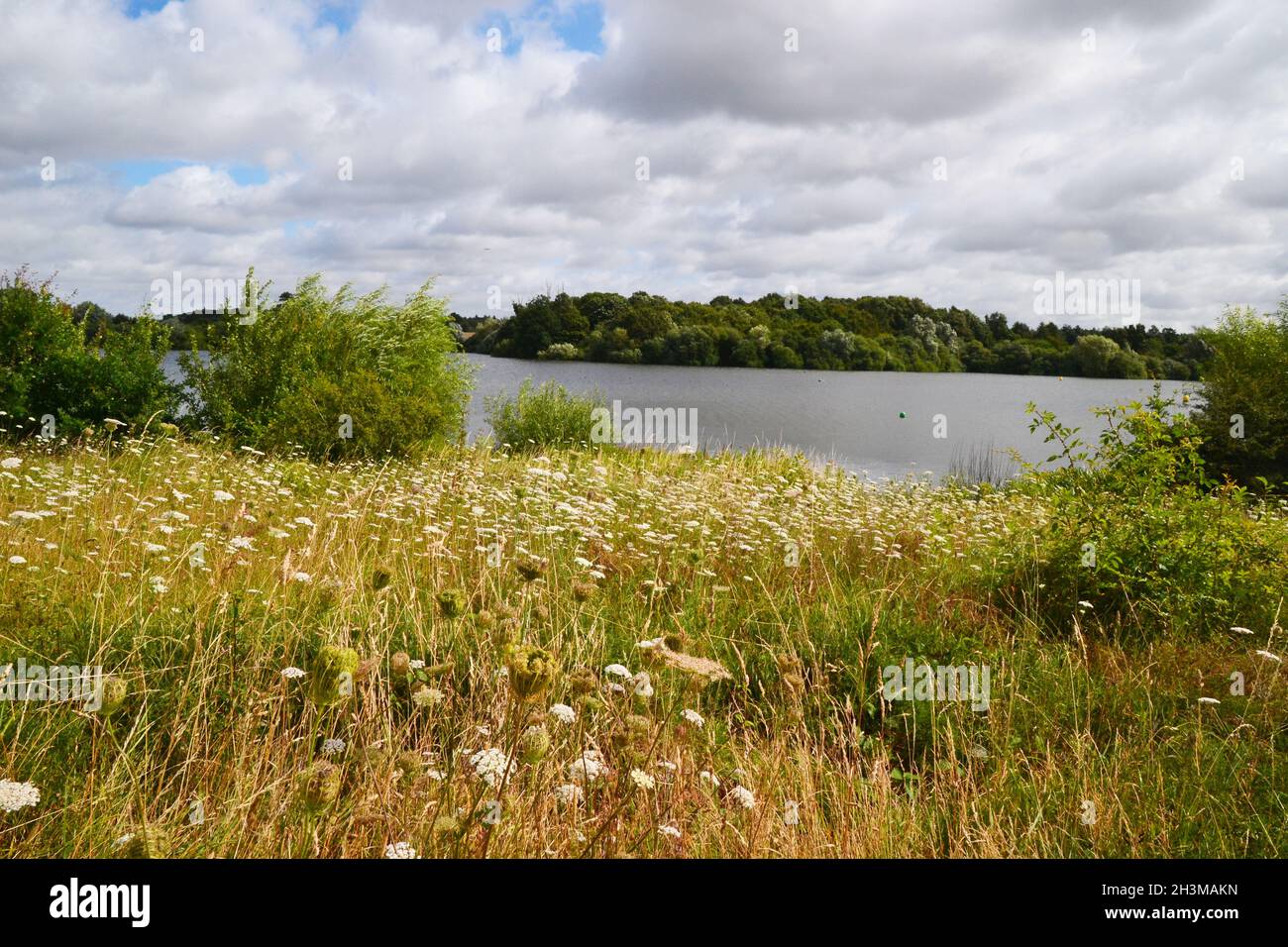 Alton Water, Suffolk, UK Stock Photo - Alamy