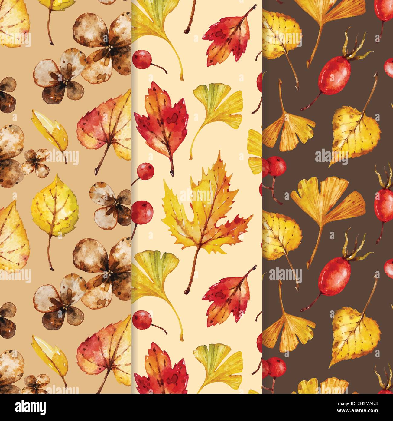 watercolor autumn pattern set vector design illustration Stock Vector Image & Art - Alamy