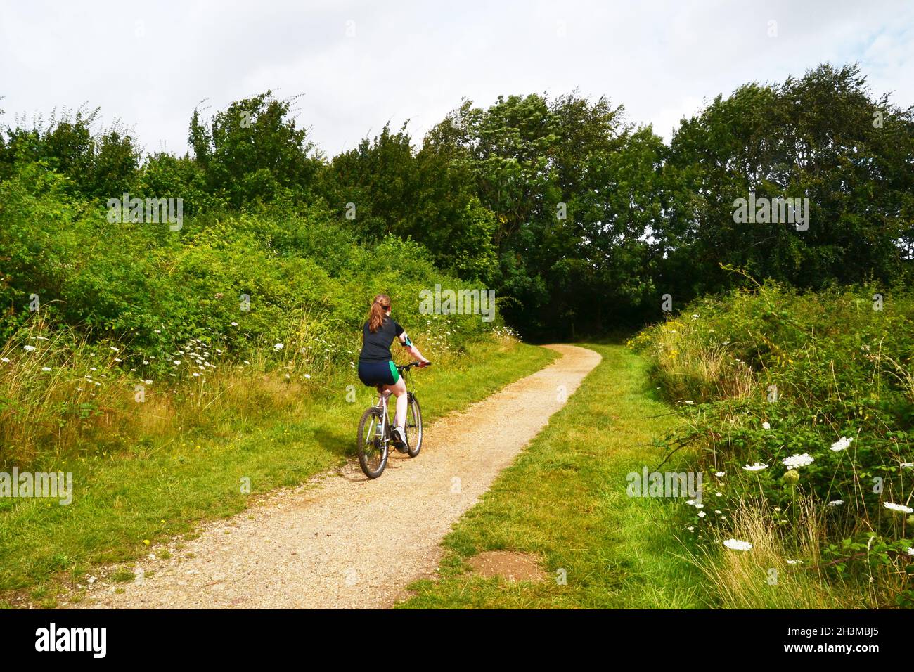 Bike with flowers on the back hi-res stock photography and images - Alamy