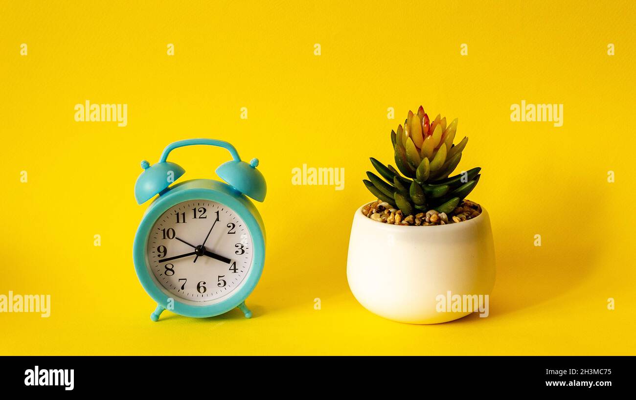 Minute flower pot hi-res stock photography and images - Alamy