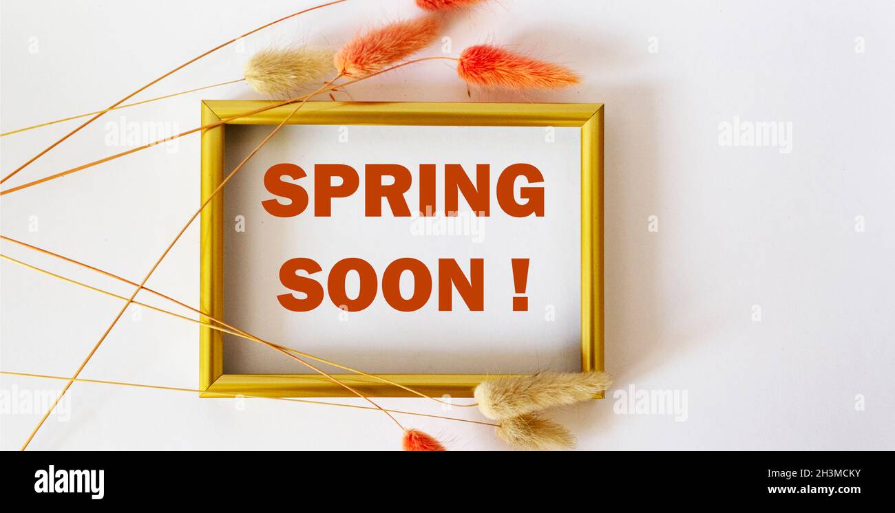 Text Spring Soon ,on a white background in a photo frame, framed by ...