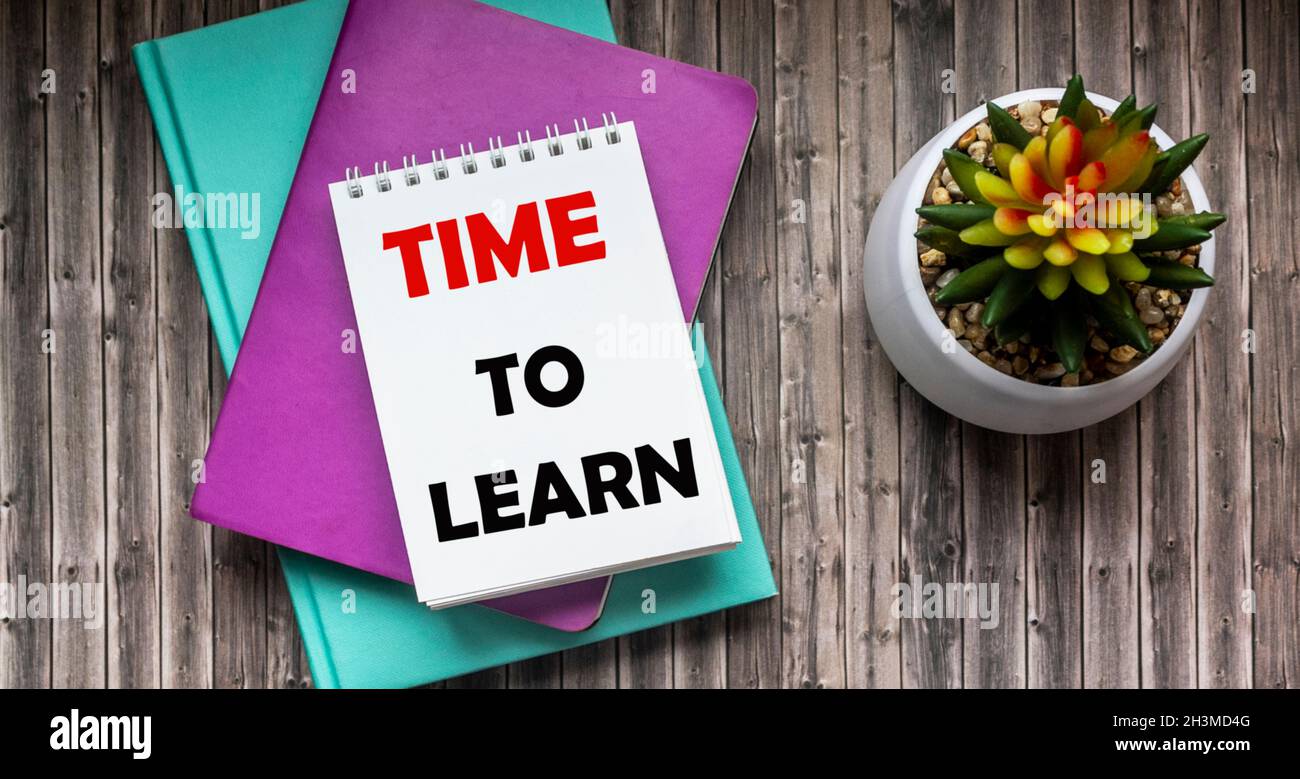 Table with a notebook, documents with numbers and a cactus. Blank sheet ...