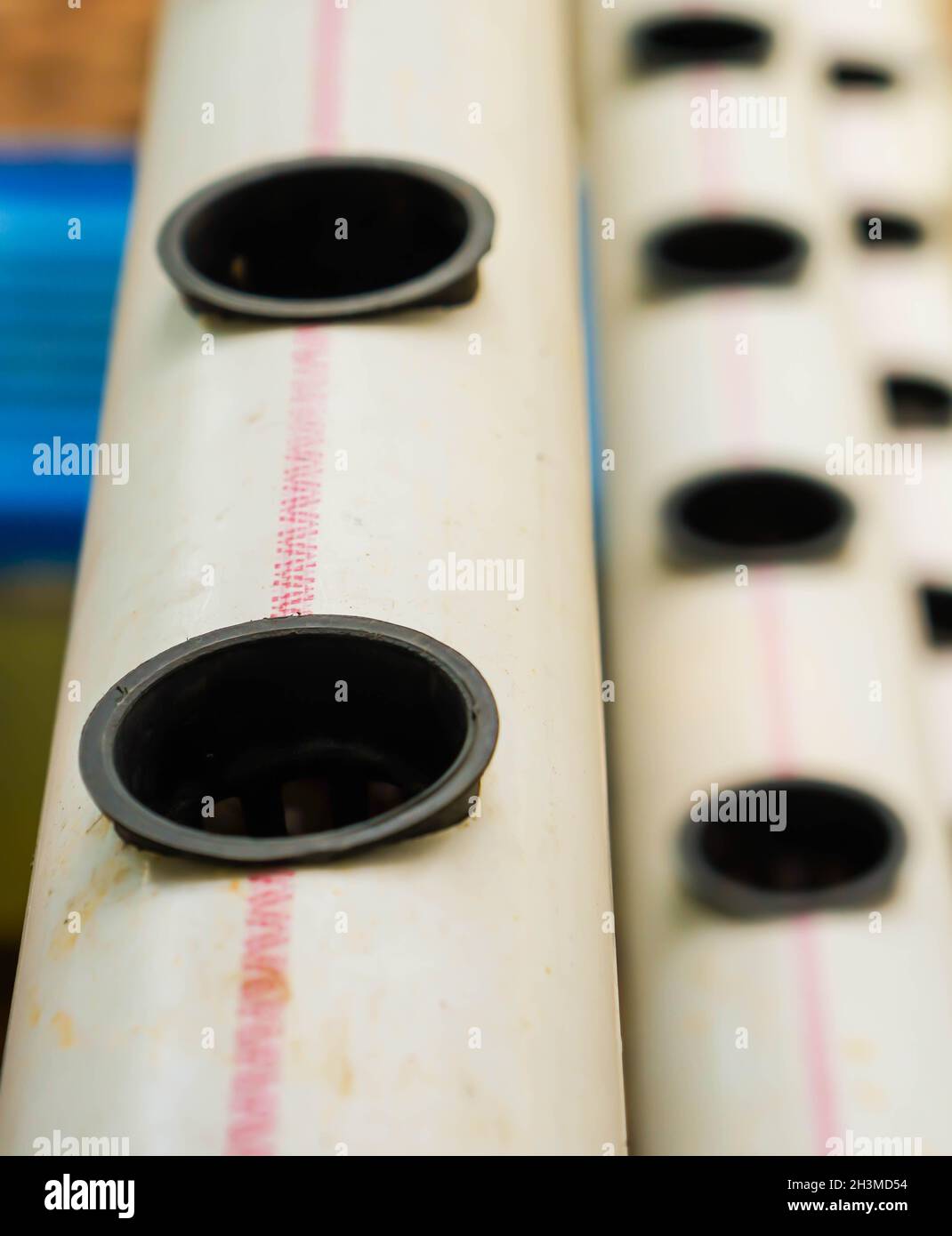 Spinach seeds in plant hi-res stock photography and images - Alamy