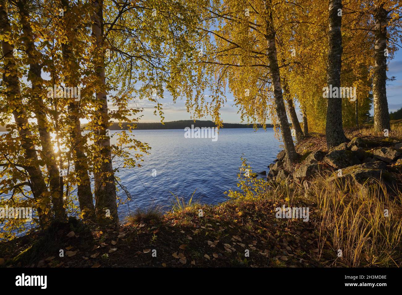 Nationalpark hamra hi-res stock photography and images - Alamy
