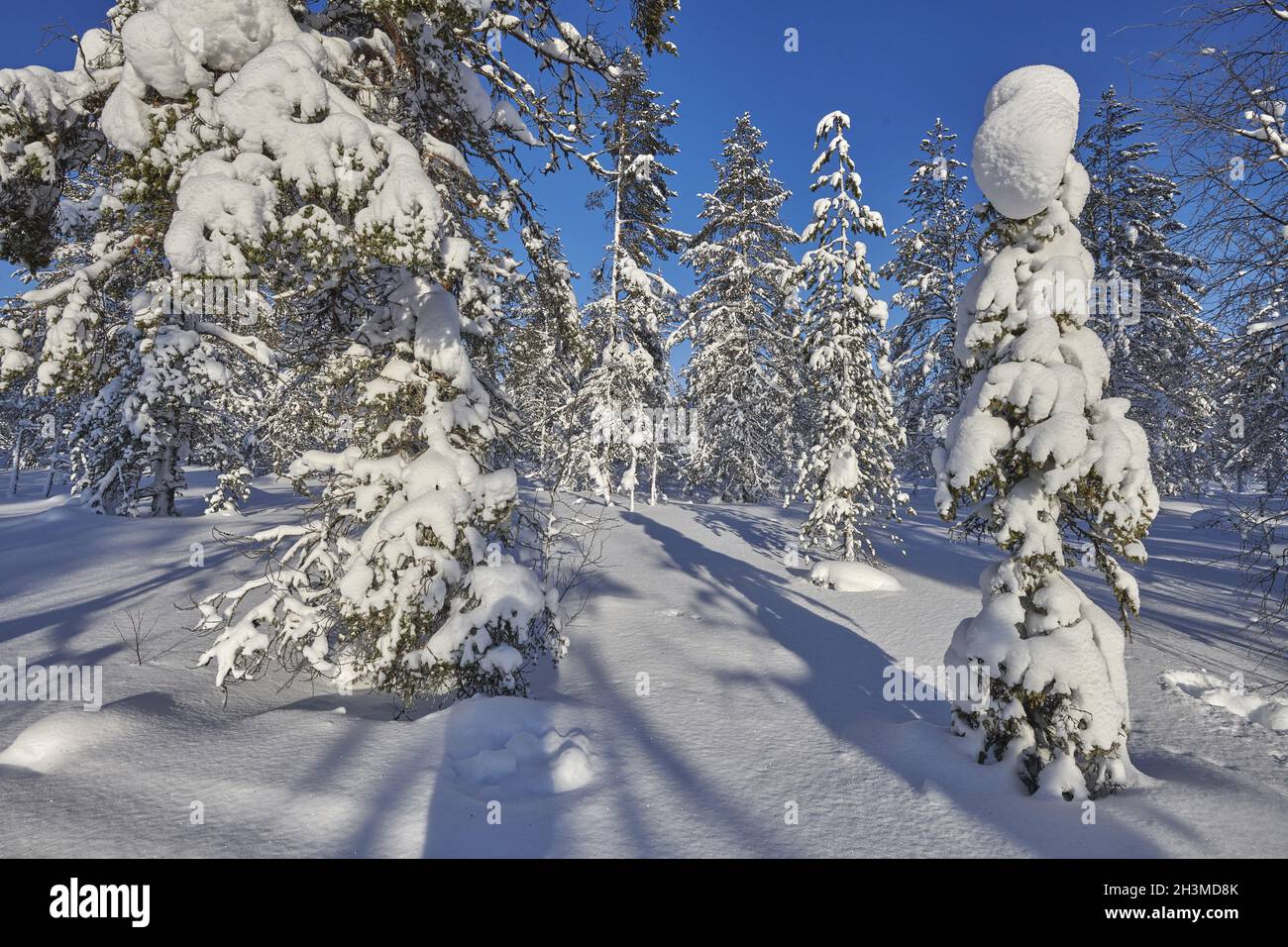 Finnish nature hi-res stock photography and images - Alamy