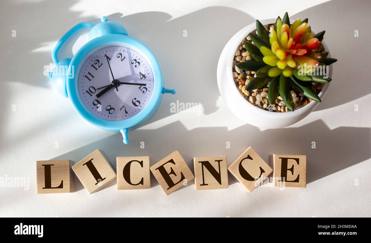 LICENSE word made from building blocks on white background, near cactus ...