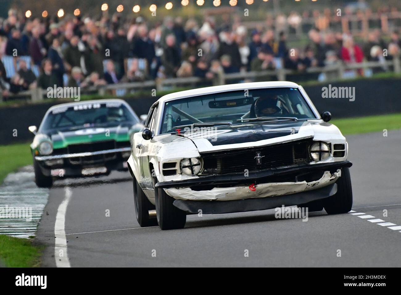 Fred Shepherd, Ford Mustang Boss 302, Gerry Marshall Trophy, Group 1 ...