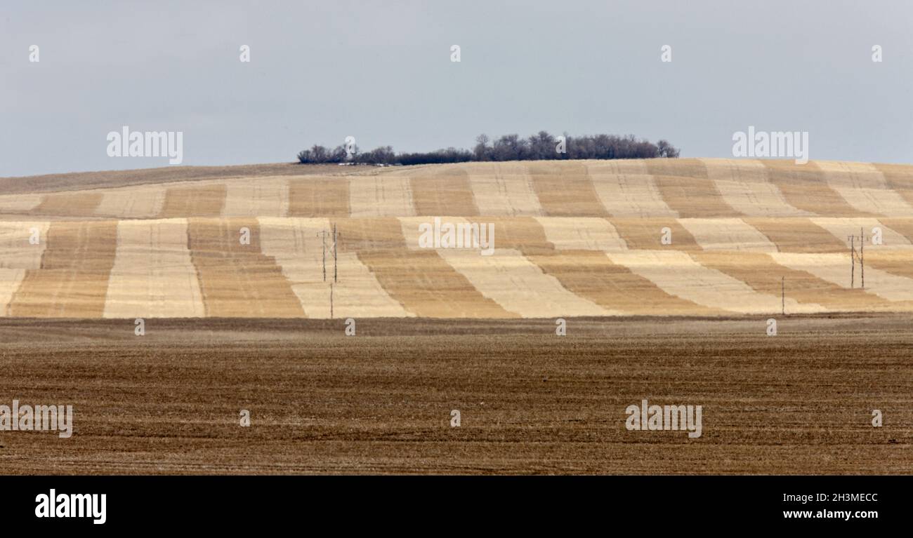 Prairie Grassland Saskatchewan Prairie High Resolution Stock ...