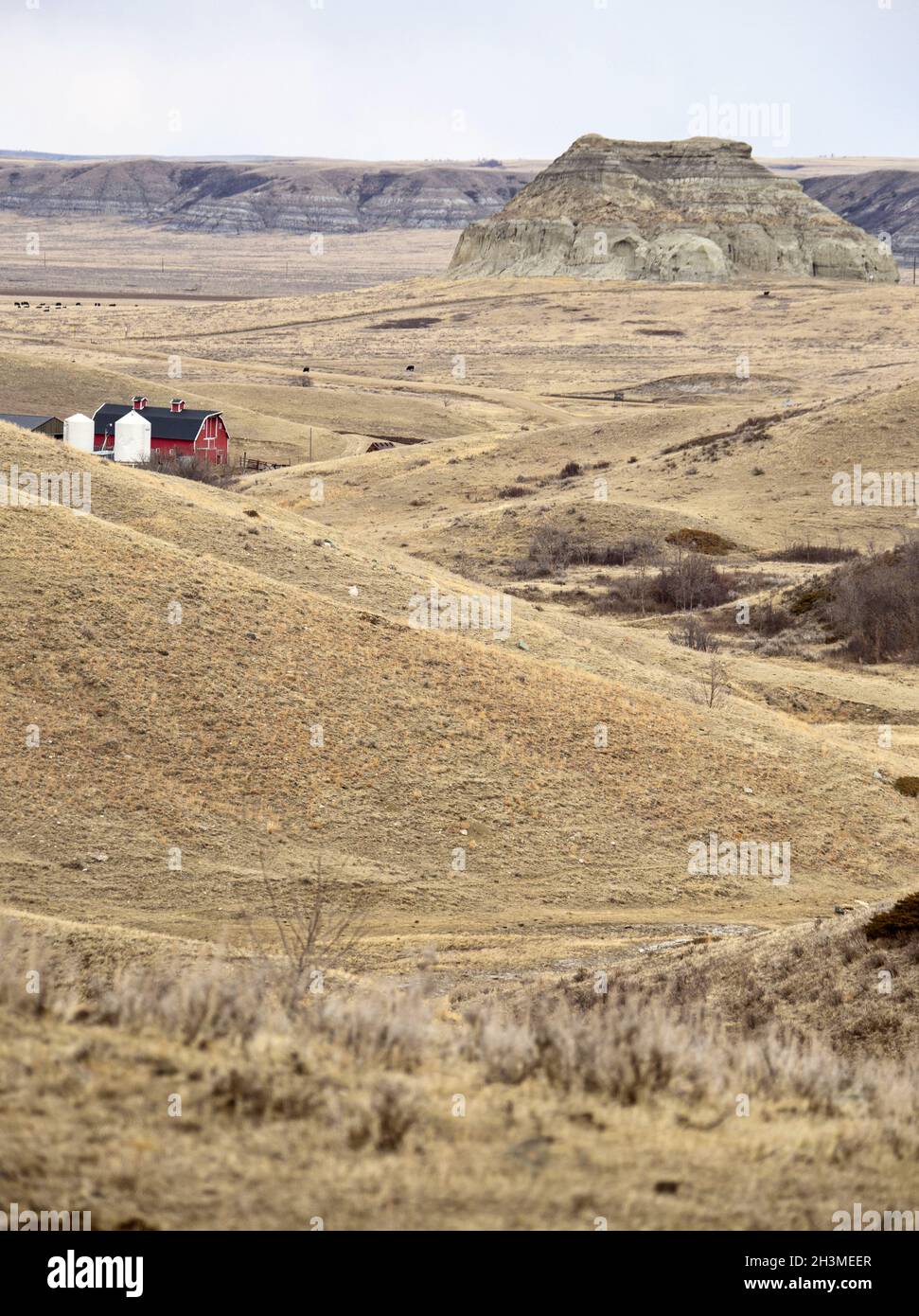 Big Muddy Saskatchewan Badlands Stock Photo - Alamy