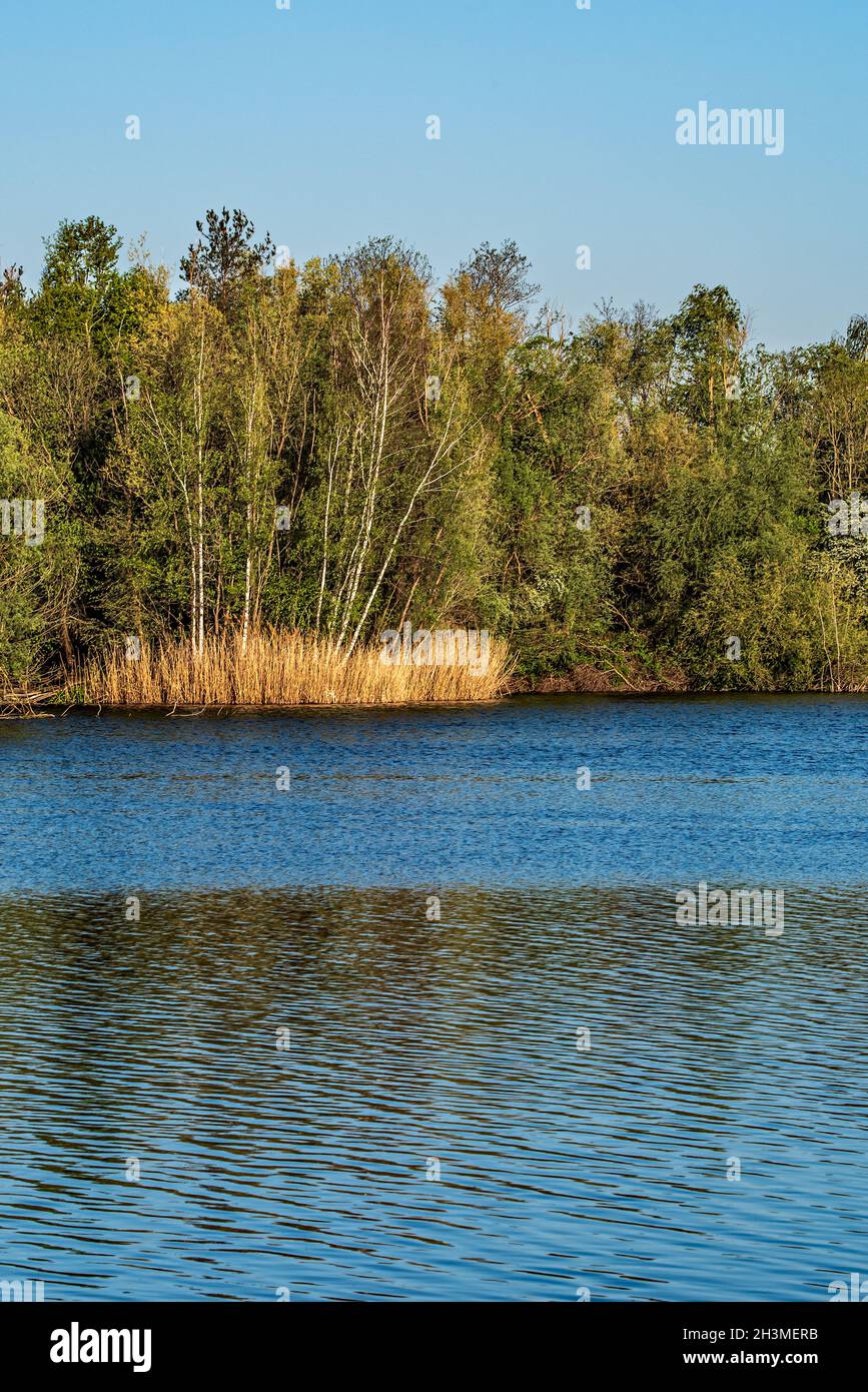 Spring comes hi-res stock photography and images - Alamy