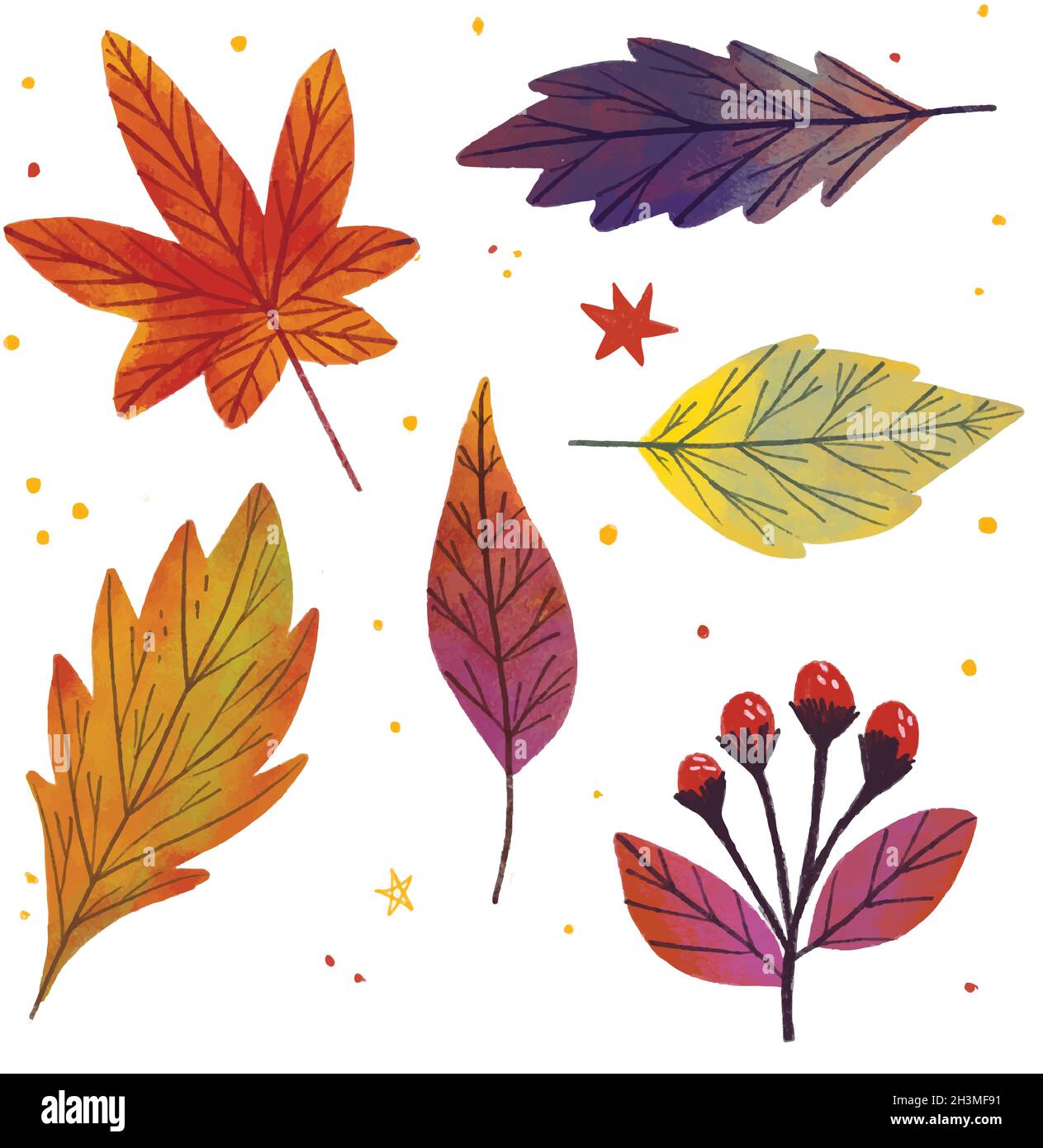 hand drawn autumn leaves collection vector design illustration Stock ...