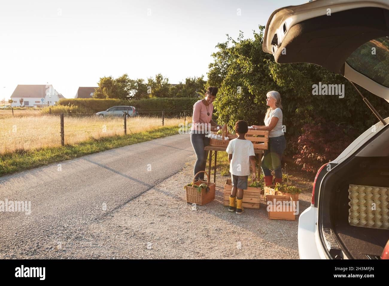 Family arranging farmer's stall at roadside Stock Photo - Alamy