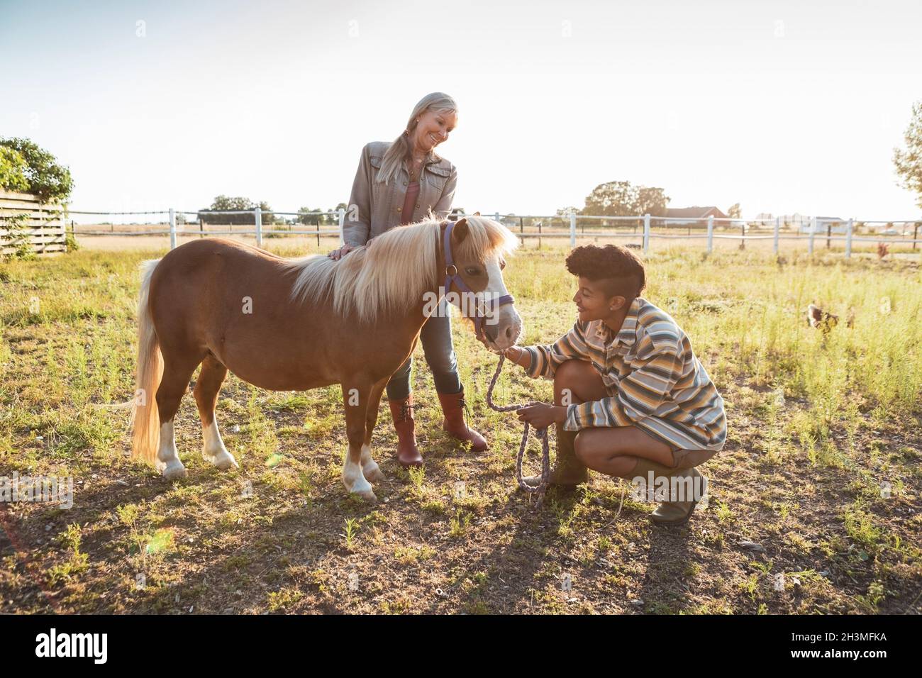Female farmers with pony at farm Stock Photo - Alamy
