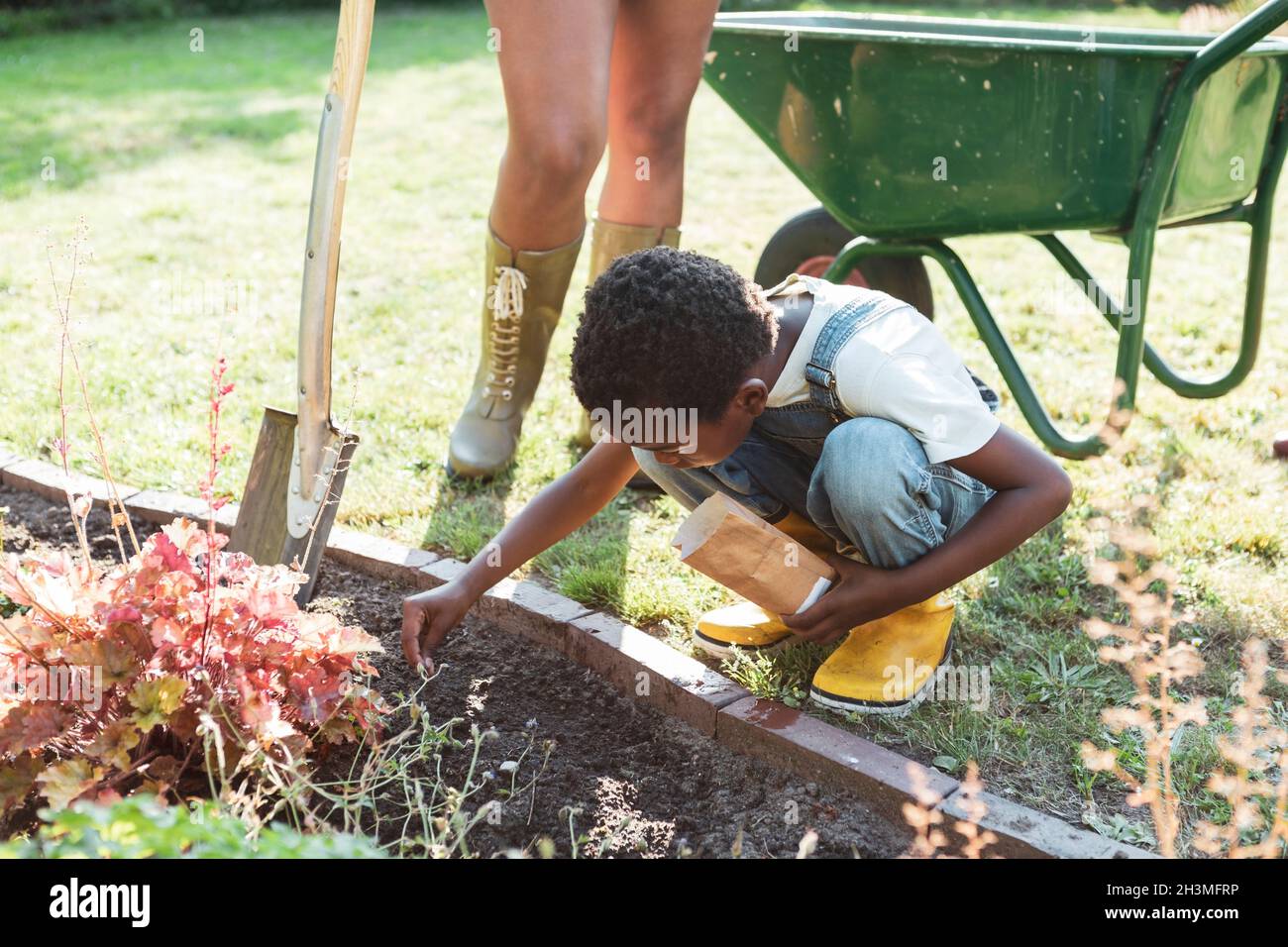 Boy sowing seeds in dirt while gardening with mother Stock Photo - Alamy