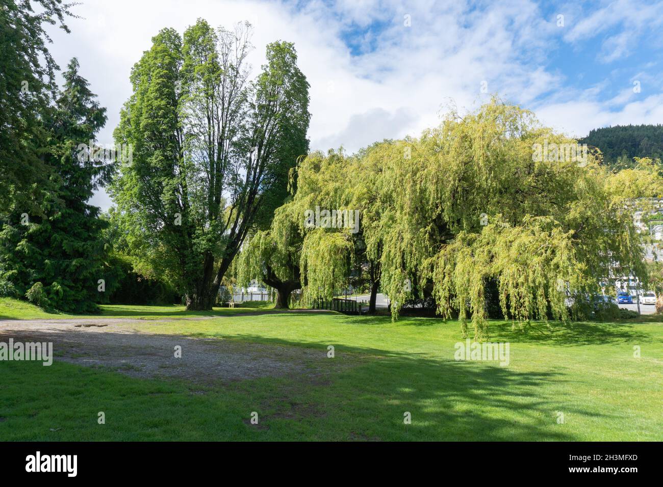 Queenstown Recreational Reserve ,New Zealand Stock Photo - Alamy