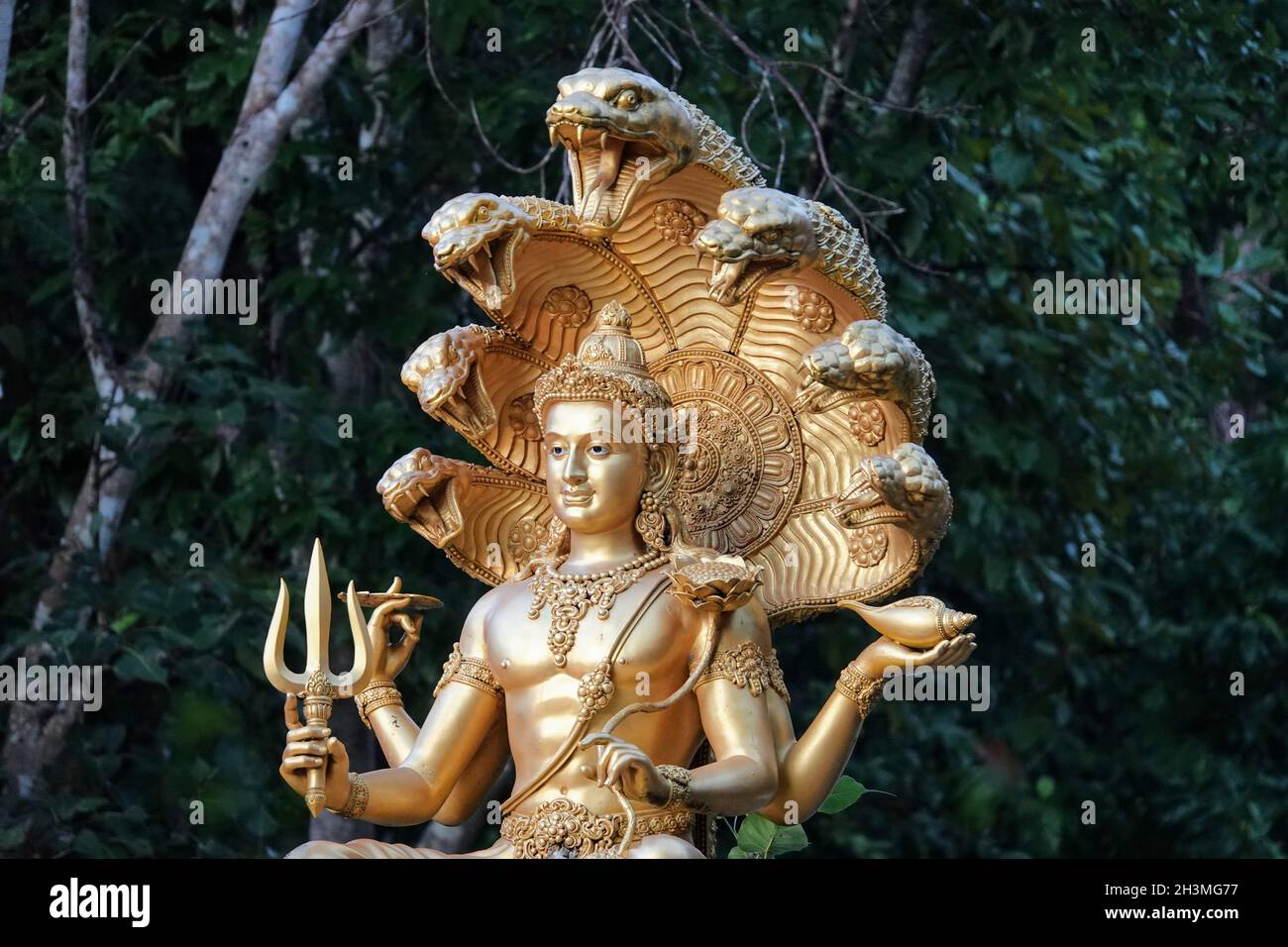 Seven snakes hi-res stock photography and images - Alamy