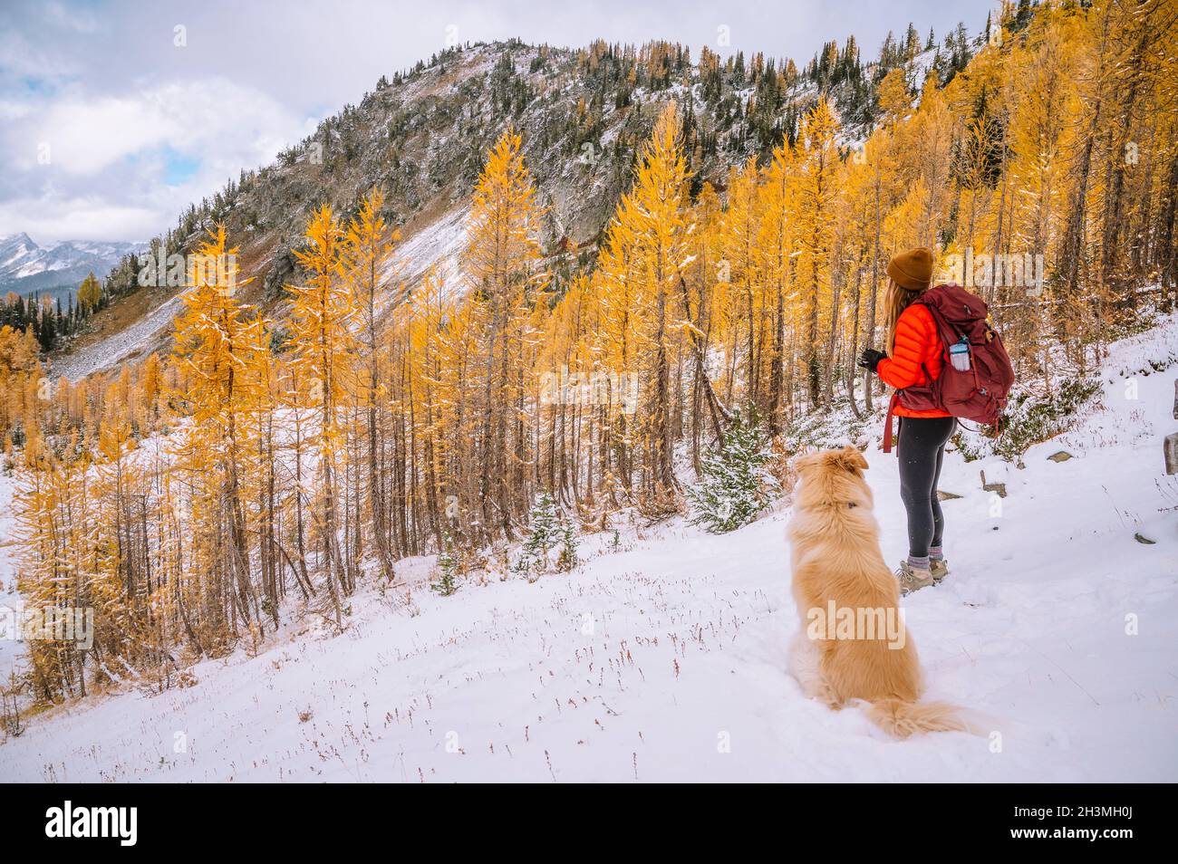 Female hiker in larch hi-res stock photography and images - Alamy