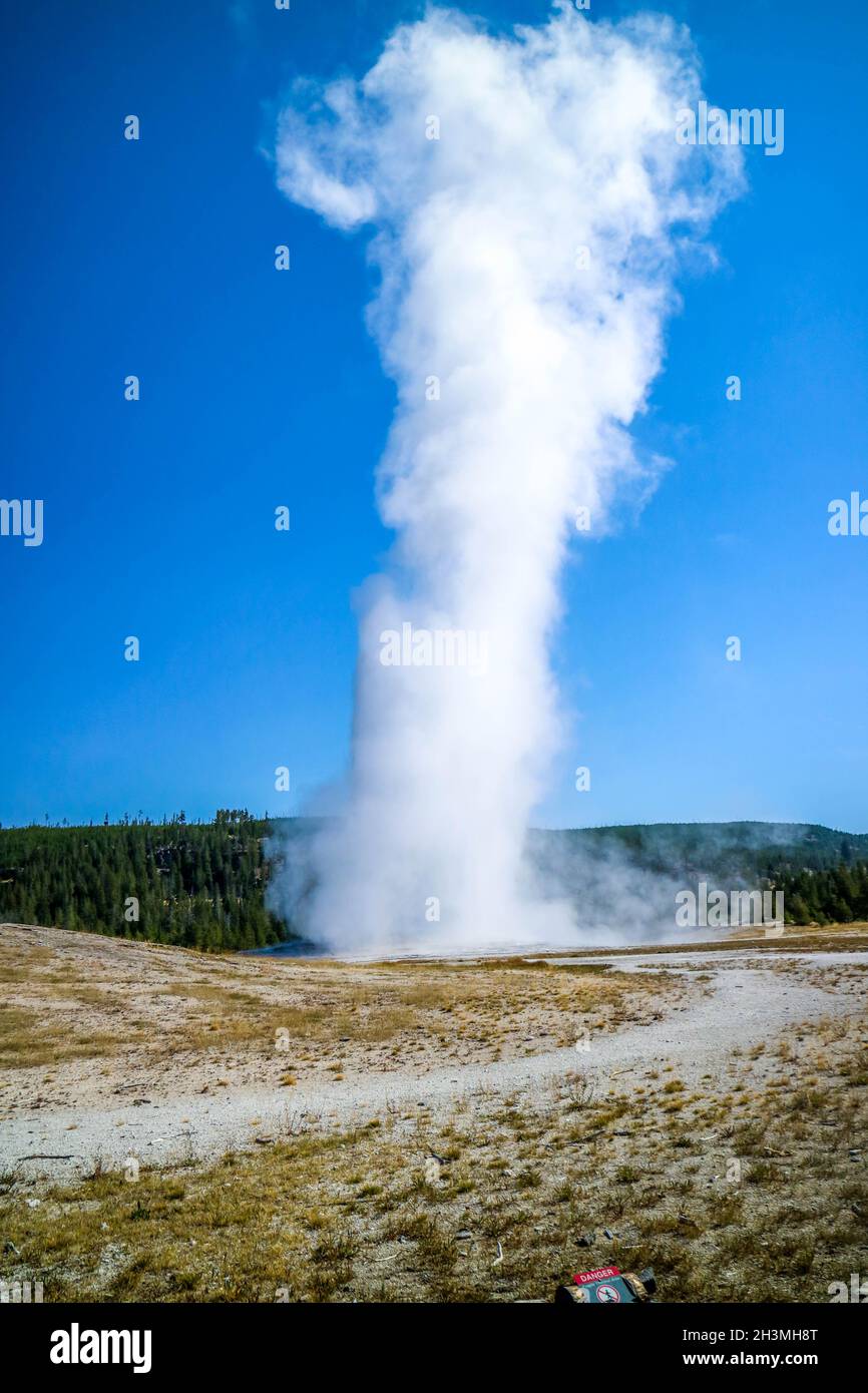 A geyser, steam and water boils from the ground in the well known ...