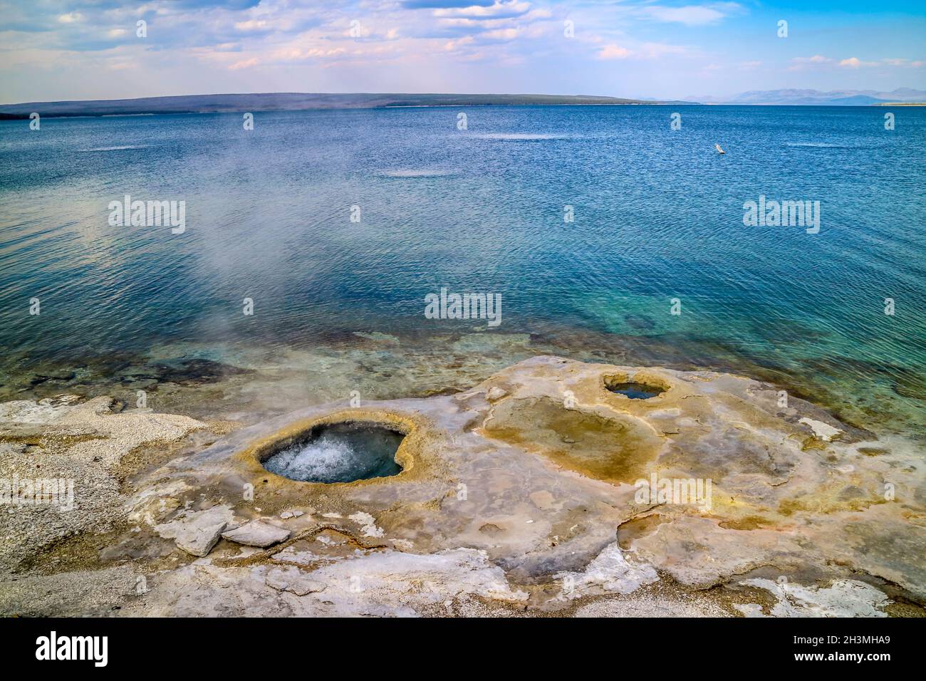 A geyser, steam and water boils from the ground in the well known ...