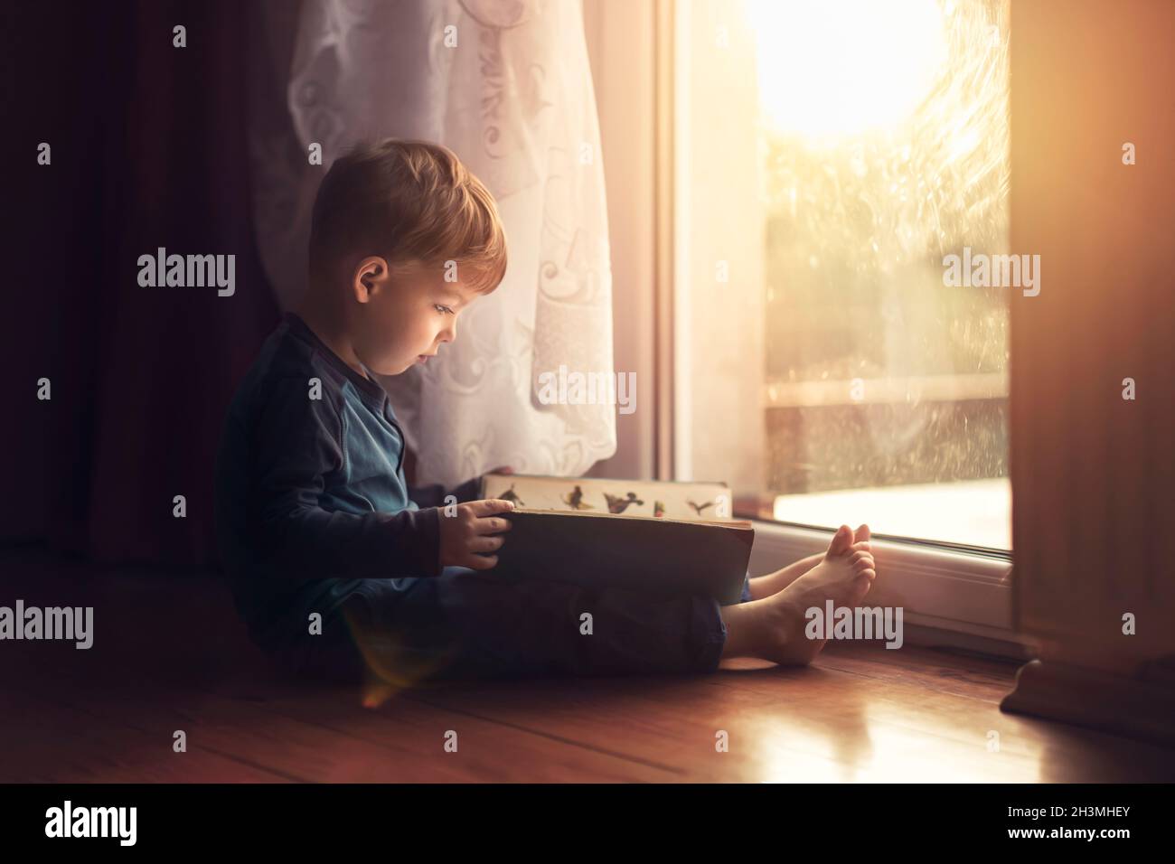 Side view of small boy sitting on the floor by window and readin Stock ...