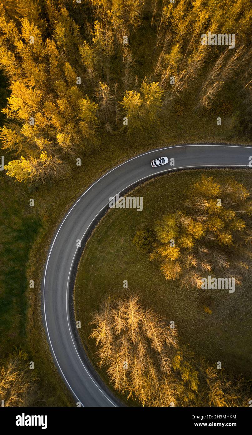 Drone view of car driving on curvy asphalt road going through trees ...