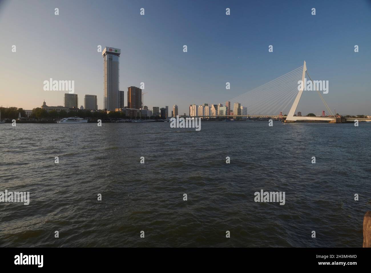 Rem koolhaas rotterdam hi-res stock photography and images - Alamy