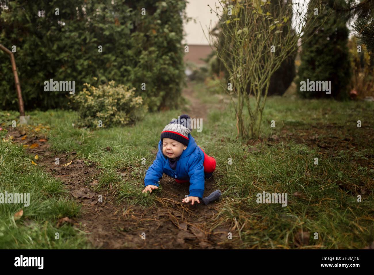 Toddler boy falling down on wild path in garden Stock Photo - Alamy