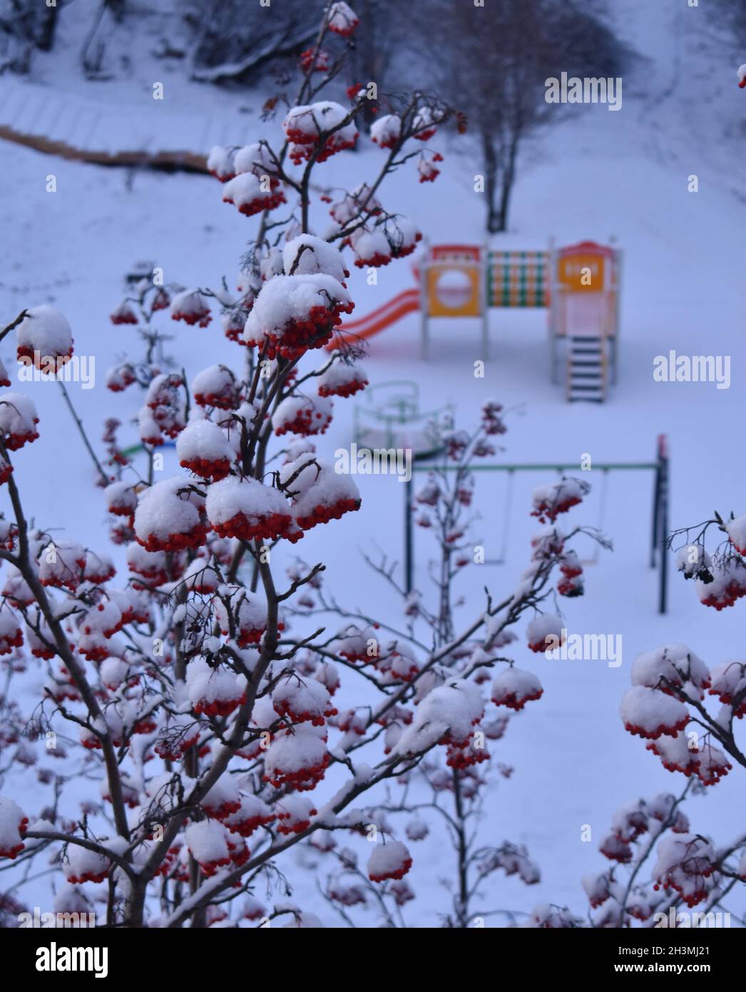 Rowan people hi-res stock photography and images - Alamy