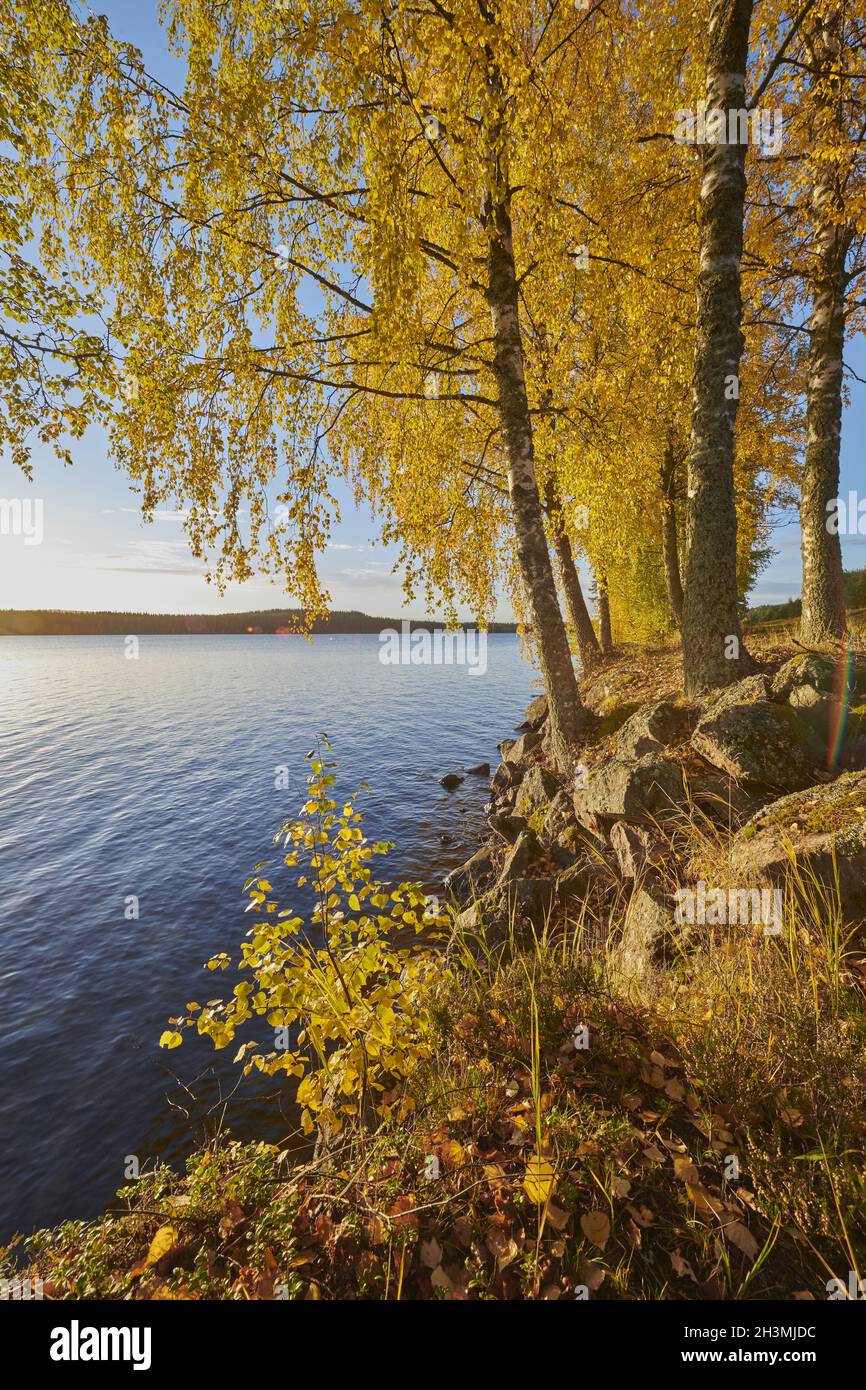 Nationalpark hamra hi-res stock photography and images - Alamy