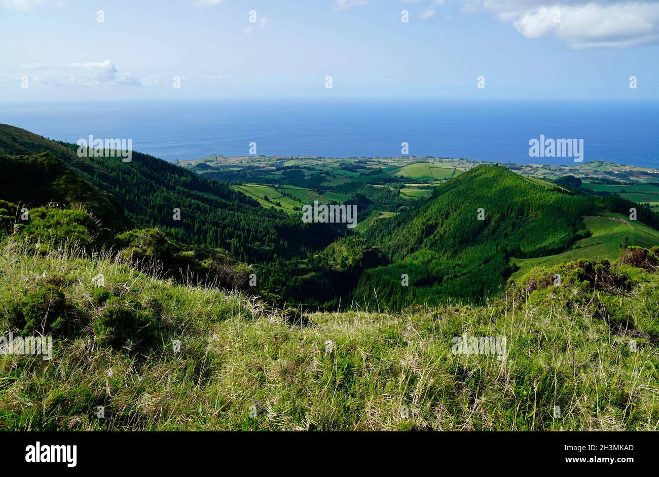 amazing green landscape on the azores island sao miguel Stock Photo - Alamy