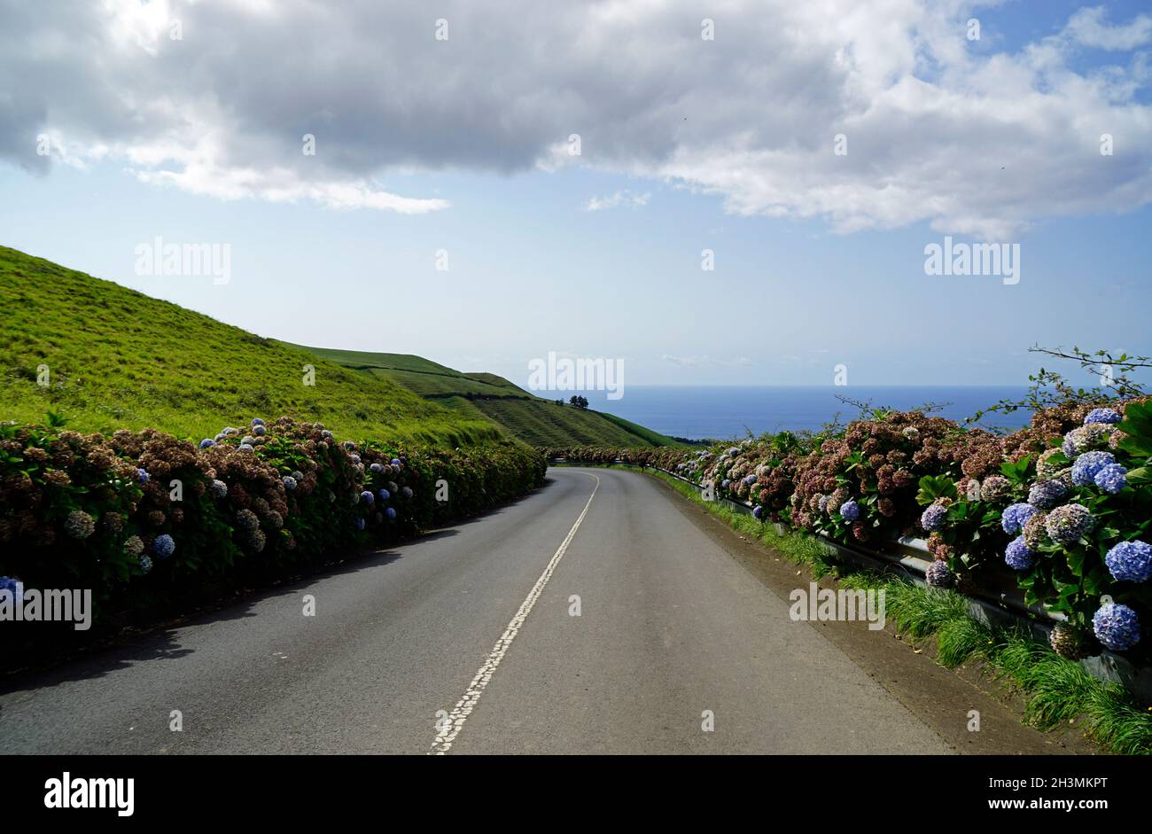 amazing green landscape on the azores island sao miguel Stock Photo - Alamy