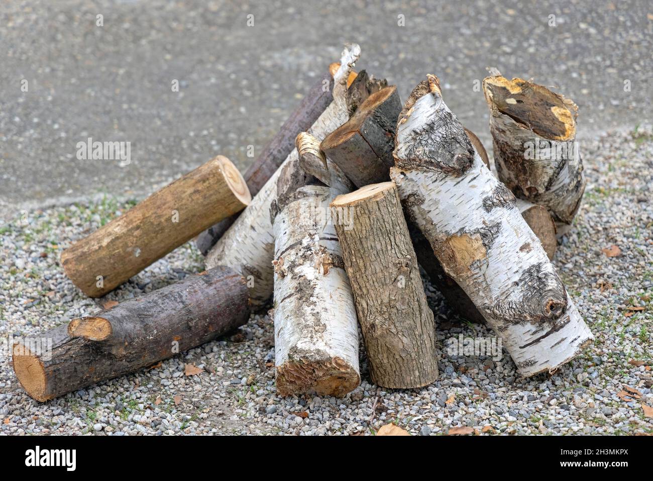 Pile of Birch Softwood Firewood Logs for Fire Stock Photo - Alamy