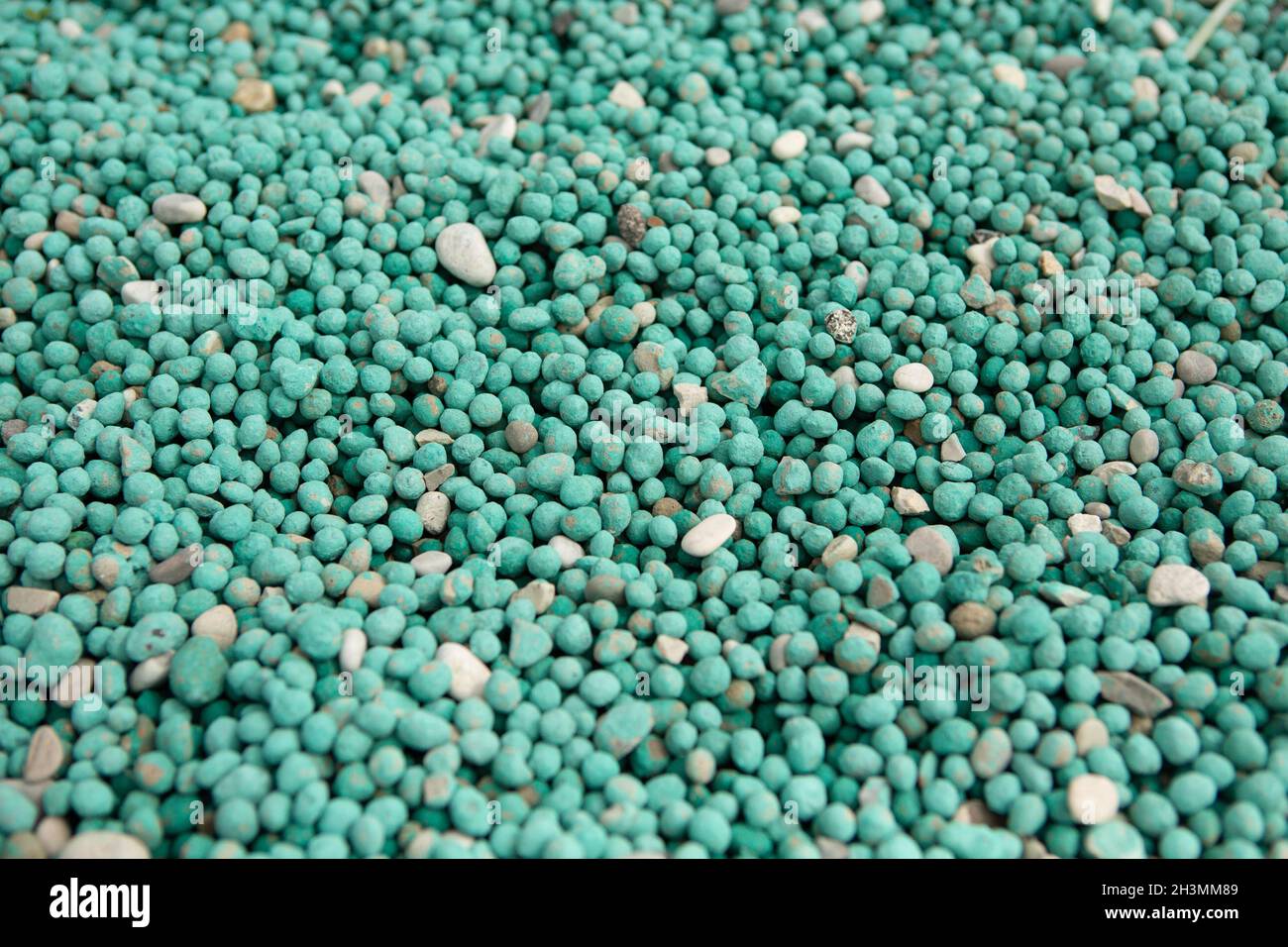 Small round stones on beach. Scattering pile of green round pebbles ...