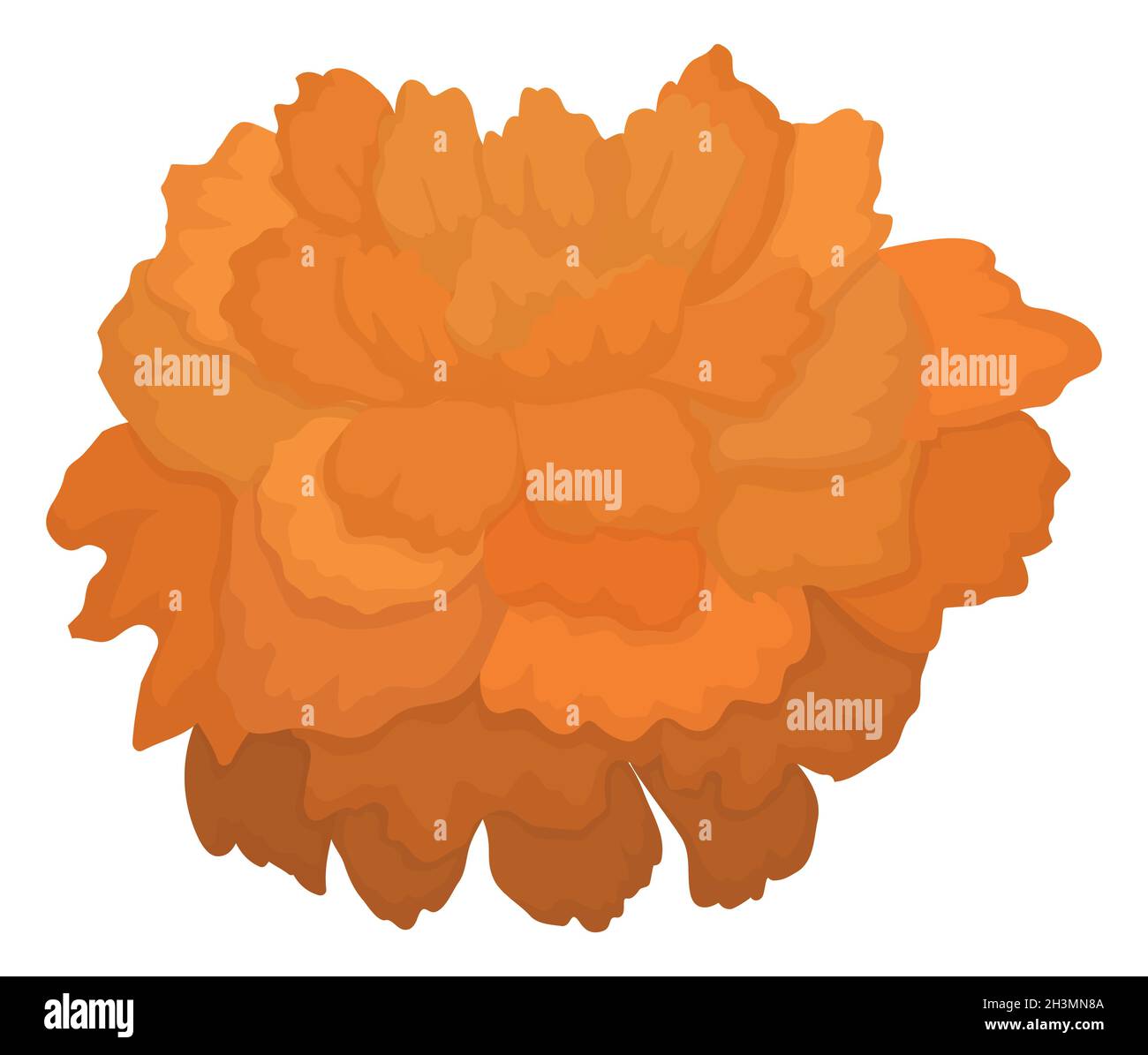 Cempasuchil flower Stock Vector Images - Alamy
