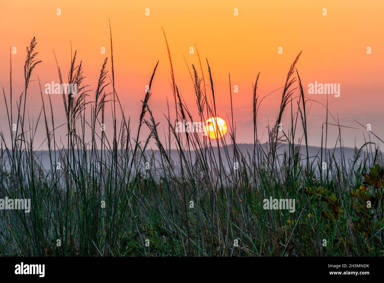 Sunset landscape background hi-res stock photography and images - Alamy