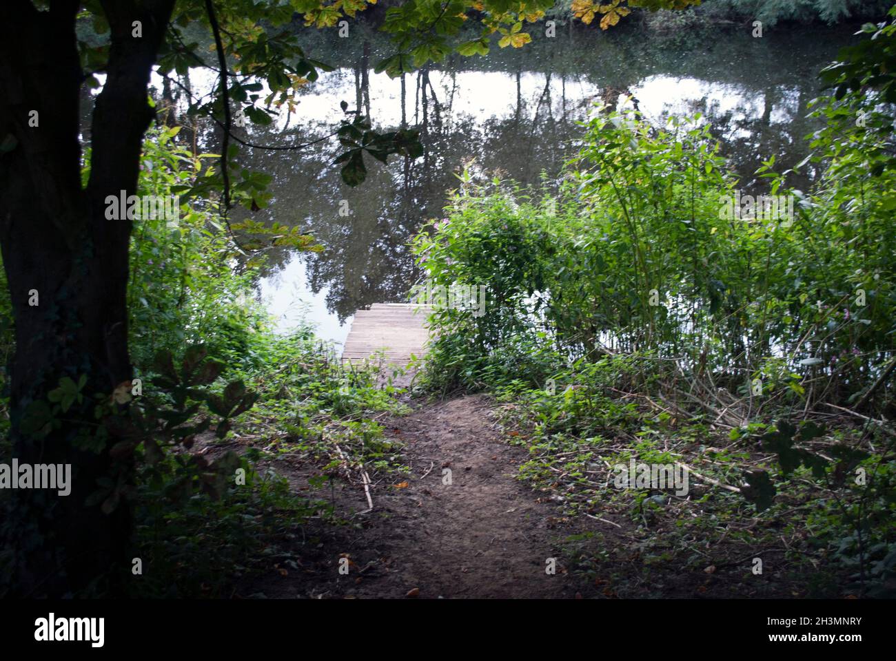 Walk from forest in teesdale hi-res stock photography and images - Alamy