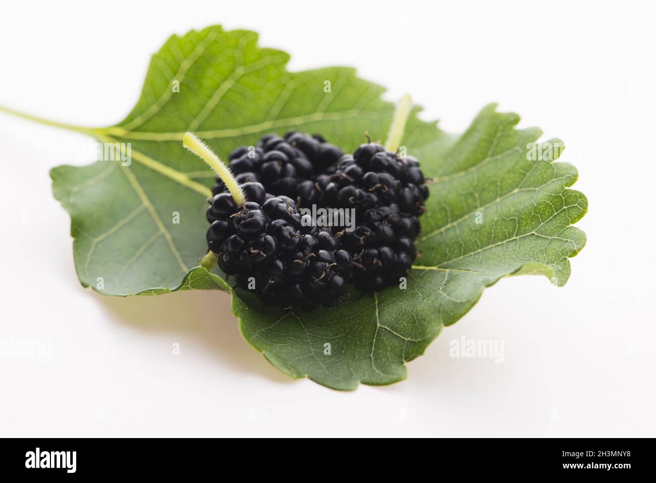 Pile of mulberry isolated on white plate Stock Photo - Alamy