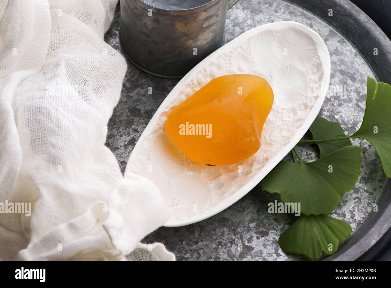 Ginkgo biloba container hi-res stock photography and images - Alamy