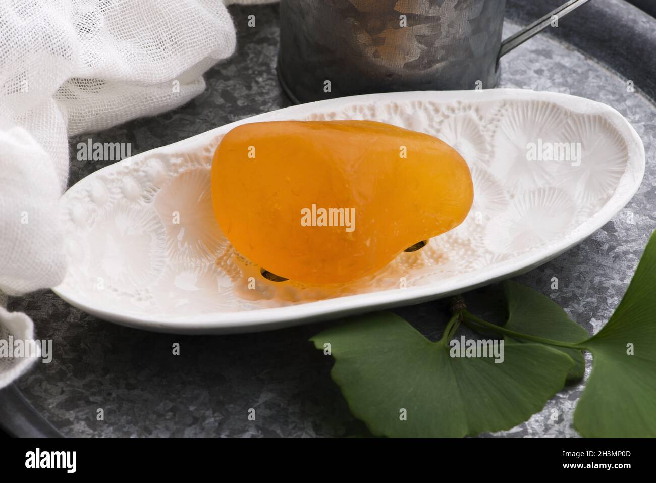 Ginkgo biloba container hi-res stock photography and images - Alamy
